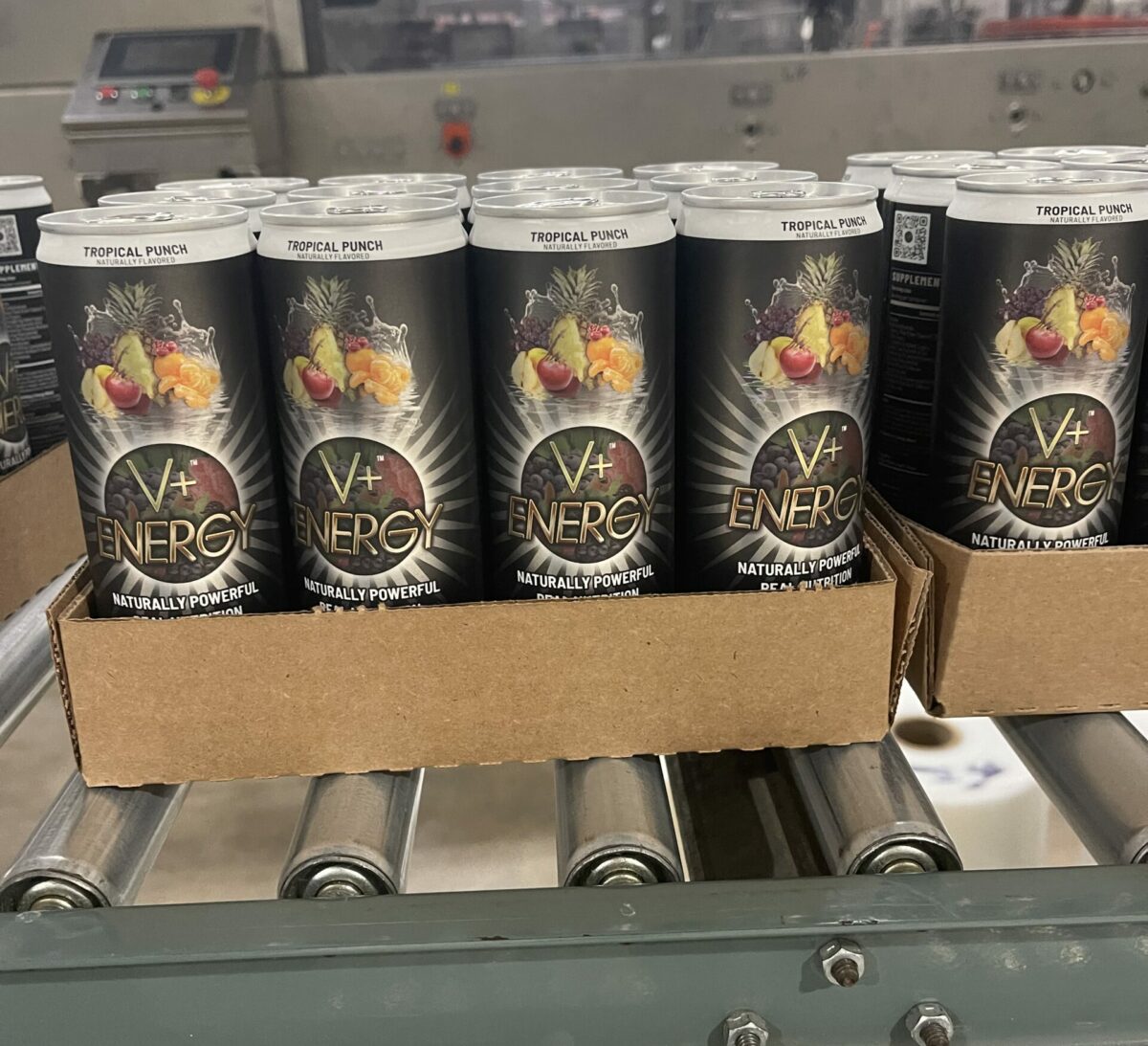 VPlus Energy Wholesale Program – Partner with Us for Growth